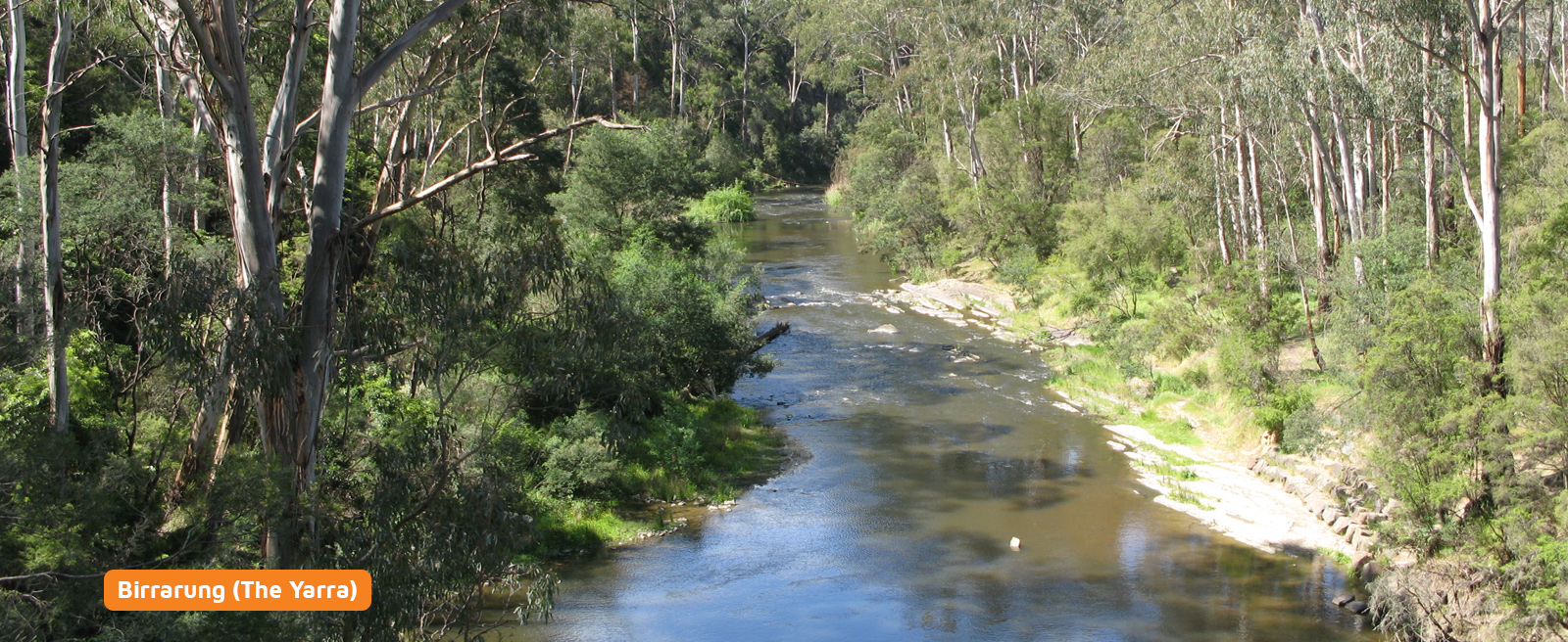 Wurundjeri Stories and Totems - Deadly Story